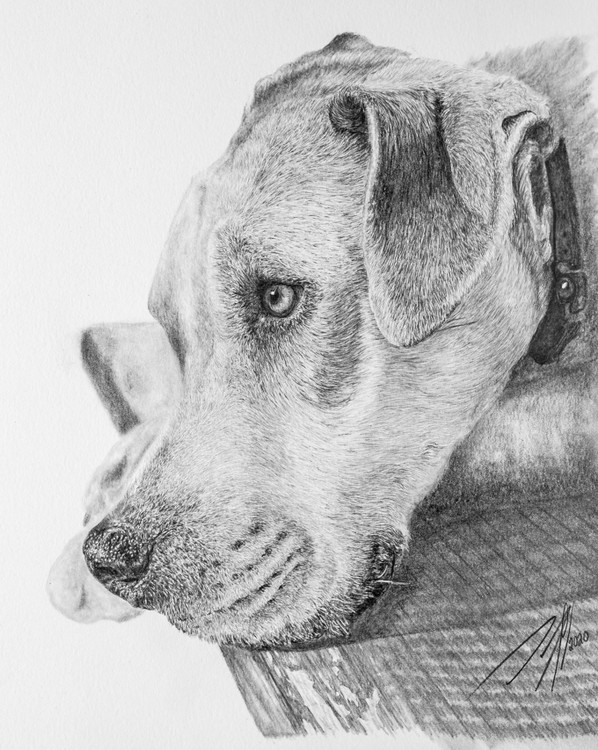 GALLERY RING -- Online Art Contests and Exhibitions