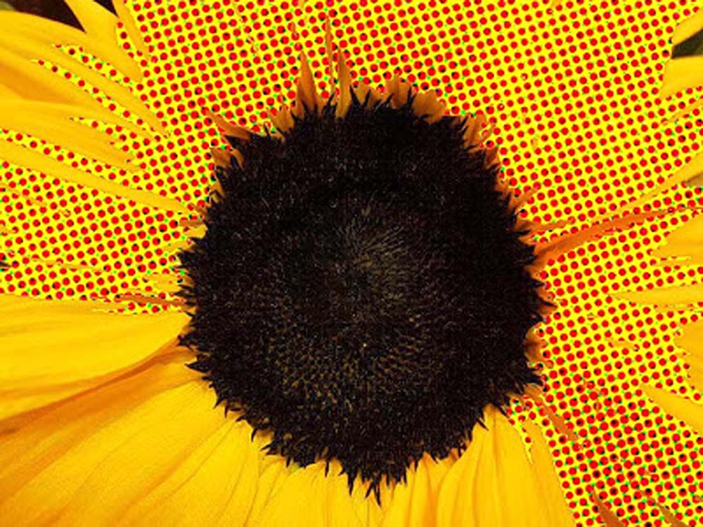 GALLERY RING -- Online Art Contests and Exhibitions