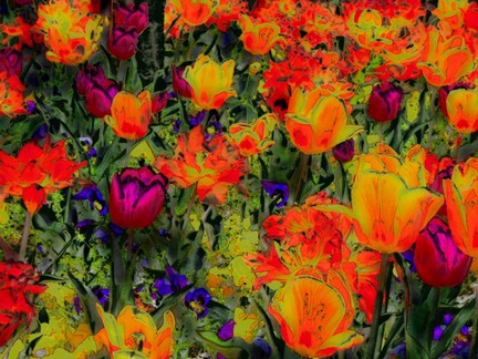 GALLERY RING -- Online Art Contests and Exhibitions