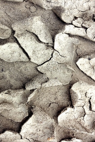 GALLERY RING -- Online Art Contests and Exhibitions